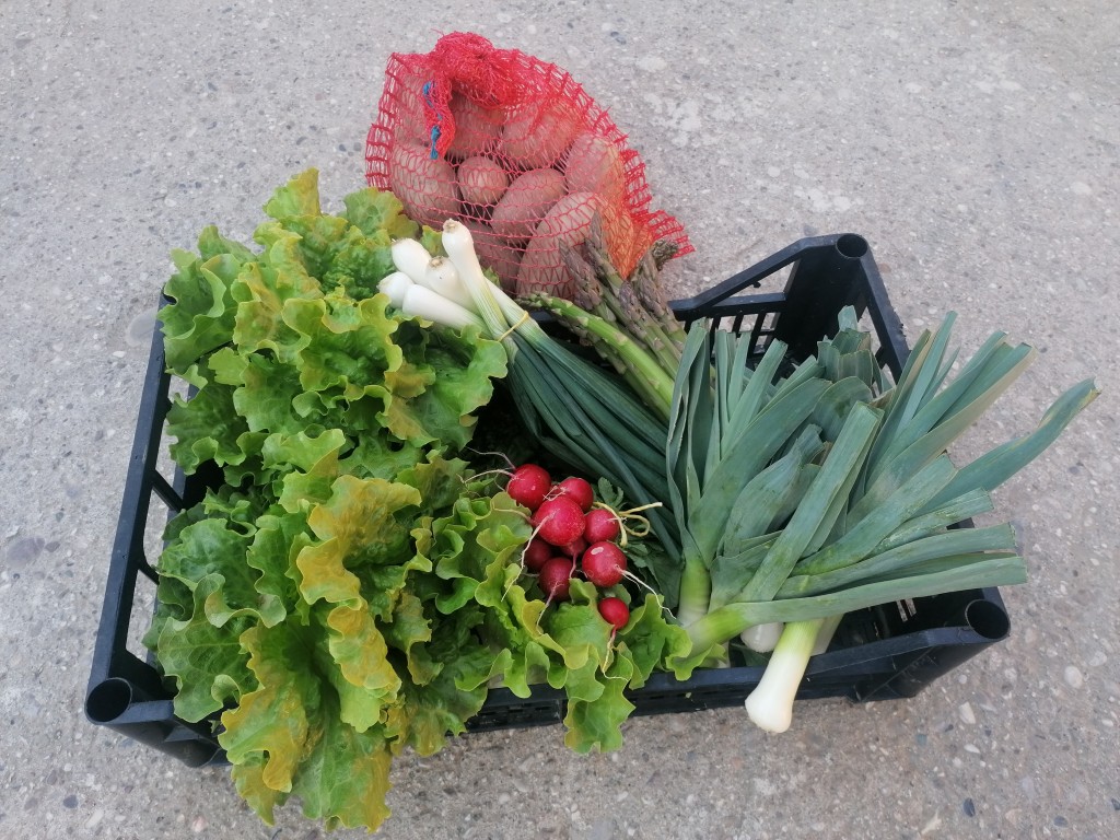 sezonska zelenjava (mali zabojček) pri kmetiji Pr,Velepcu - Nakup pri kmetu